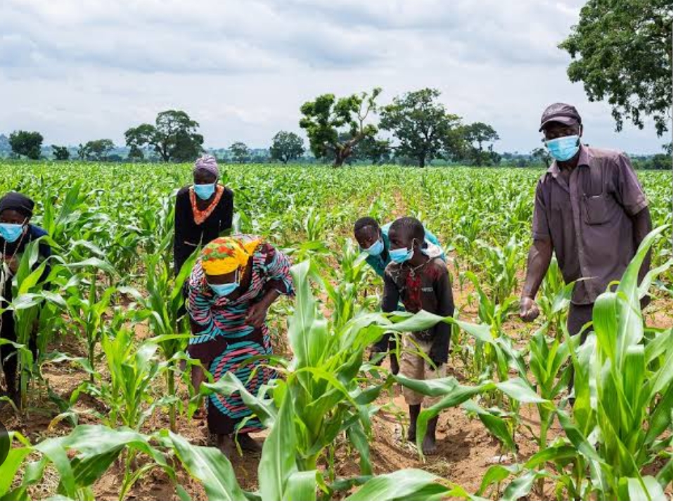 One Young Generation